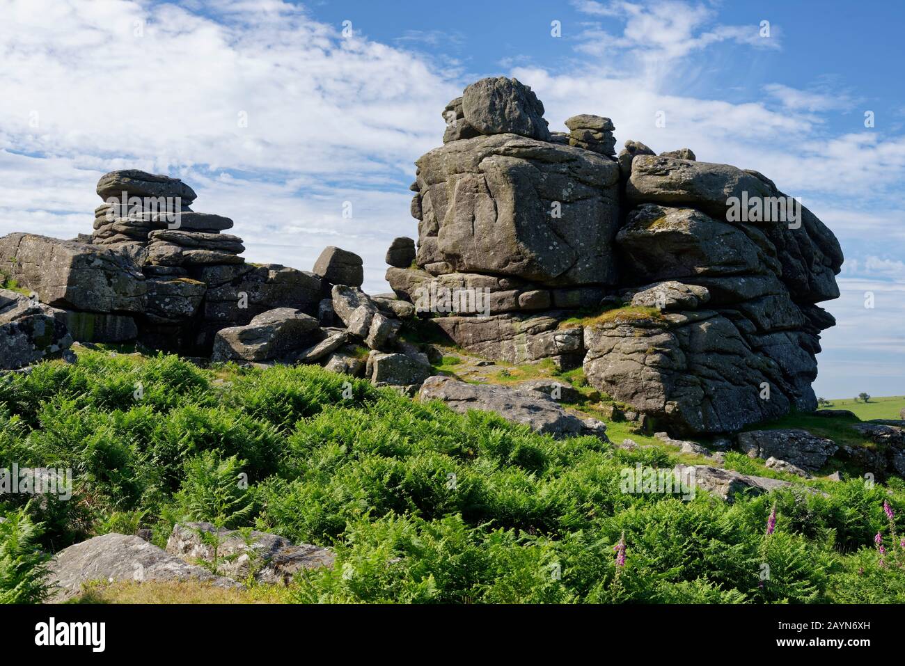 orning Sun on Granite Rocks of Hound Tor, Dartmoor, Devon; UK Stock ...