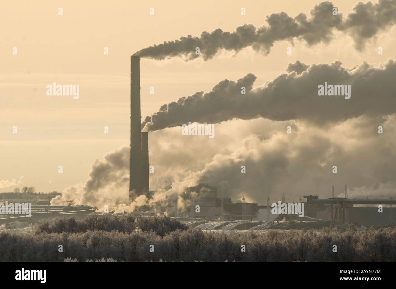 Huge factory. Smoke from the chimneys. Factory on the background of ...
