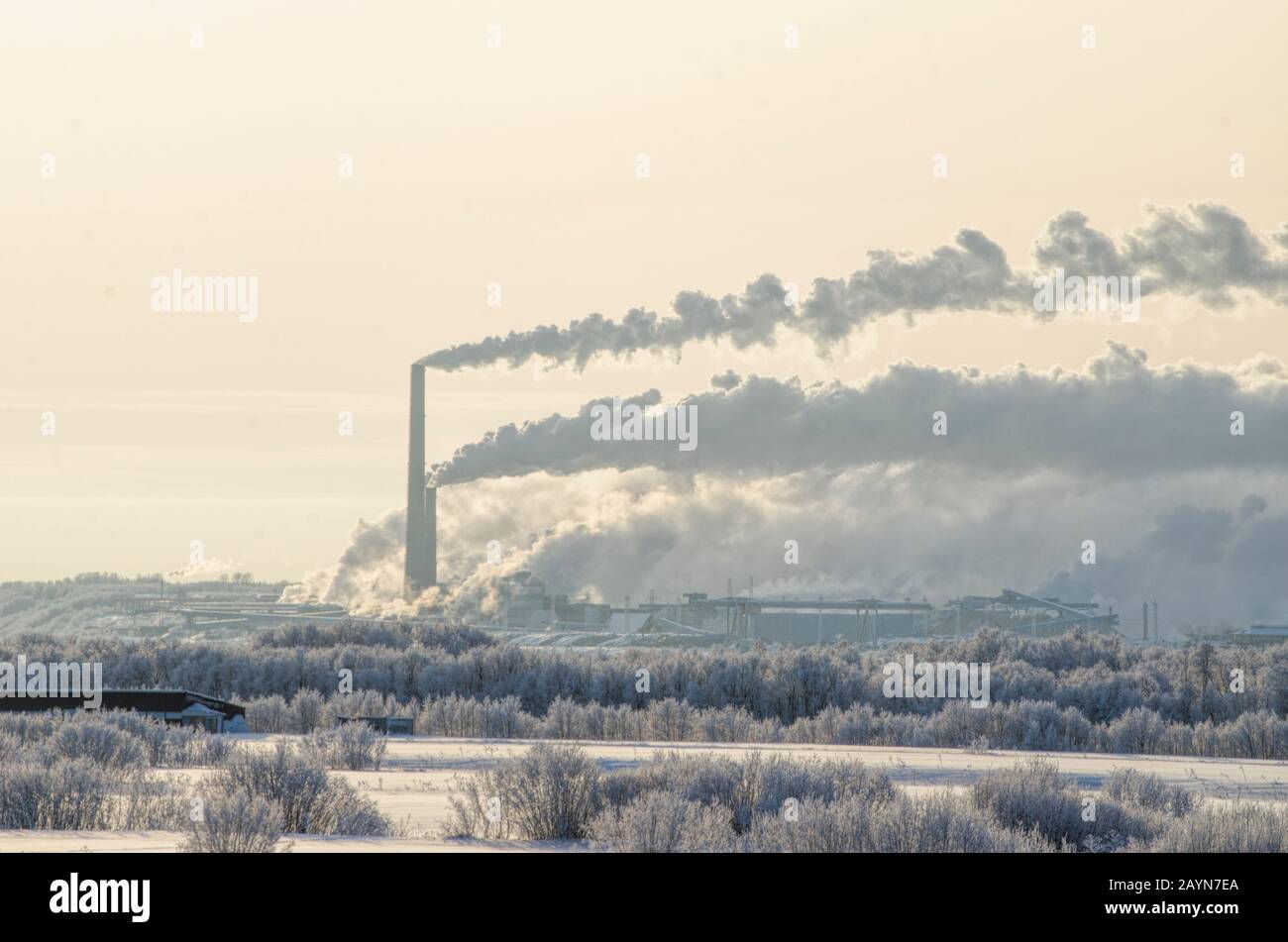 Huge factory. Smoke from the chimneys. Factory on the background of ...