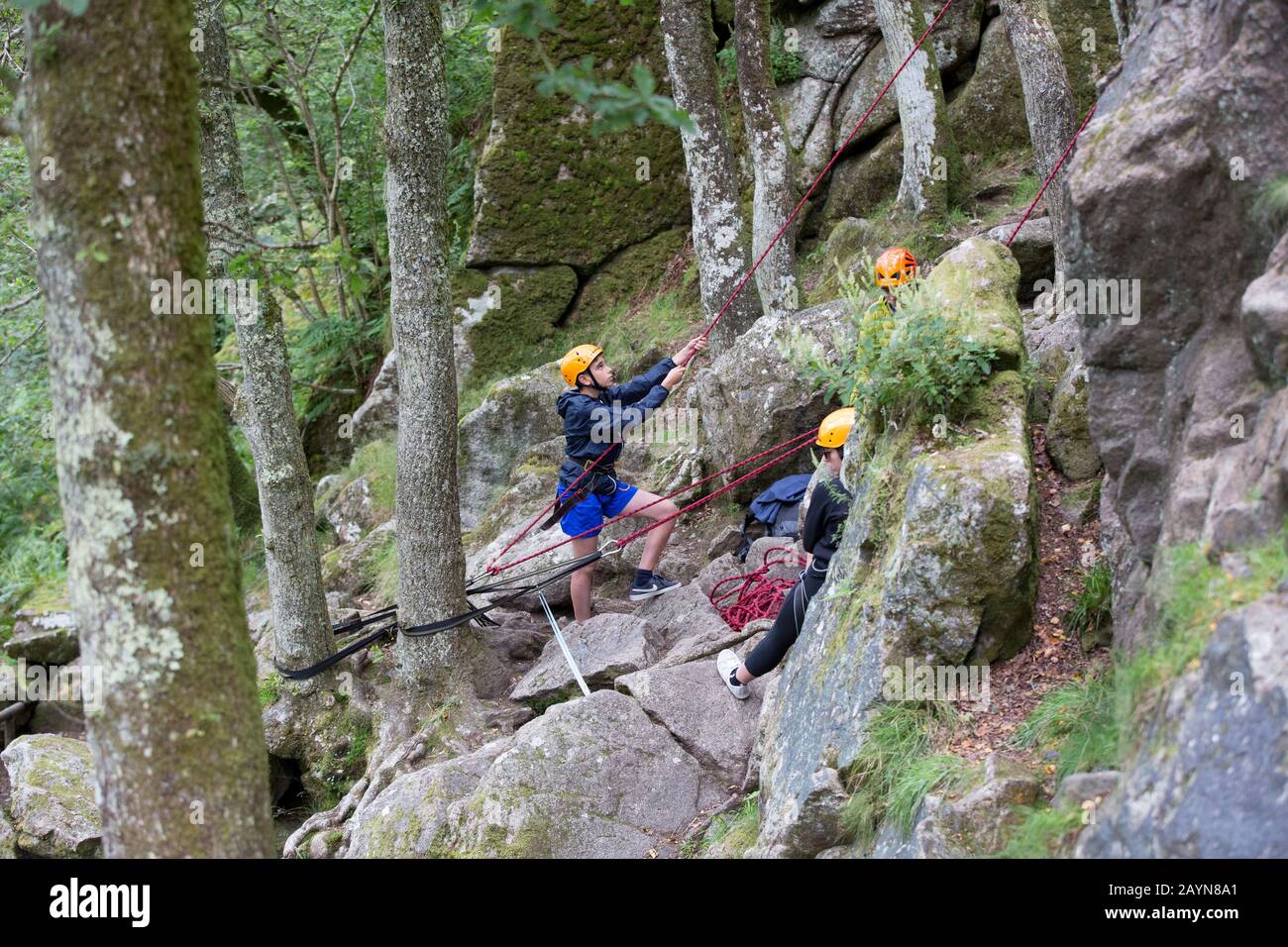 Teenagers on outdoor pursuit course Stock Photo - Alamy