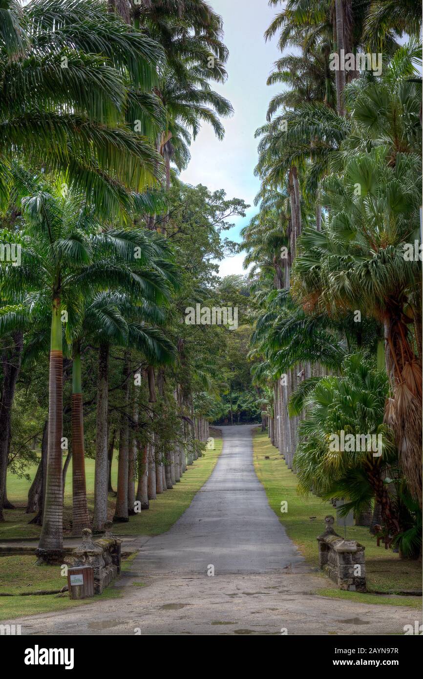 Codrington college barbados hi-res stock photography and images - Alamy