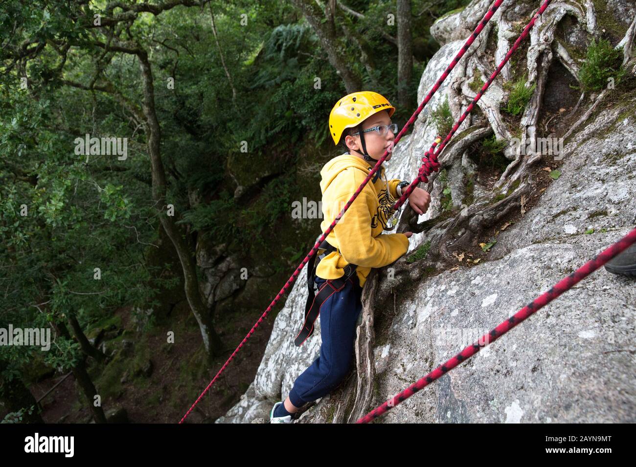 Teenagers on outdoor pursuit course Stock Photo - Alamy