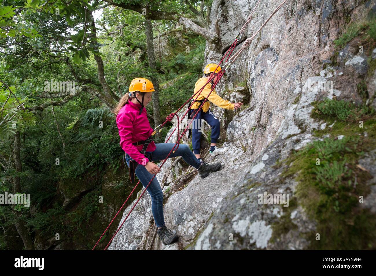 Teenagers on outdoor pursuit course Stock Photo - Alamy