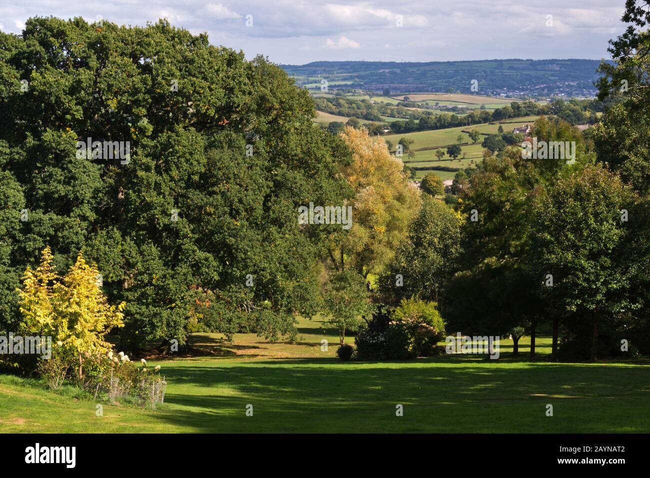 trees showing their autumnal colours at Burrow Farm Gardens (also known ...