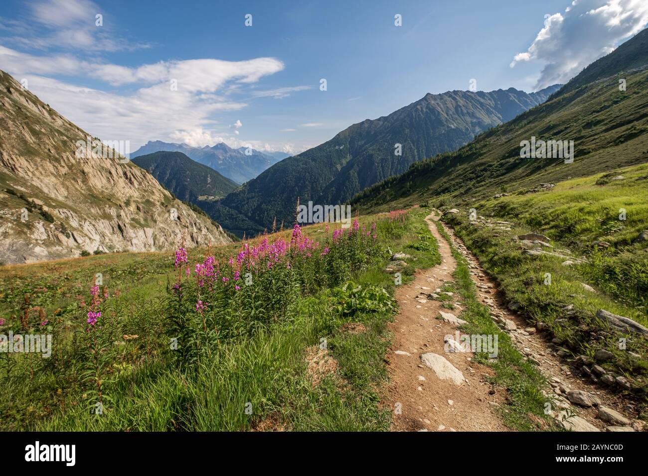 Beautiful scenic trail in hills hi-res stock photography and images - Alamy