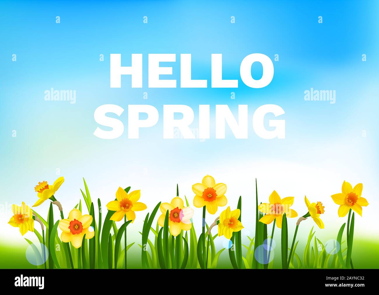 Spring banner hi-res stock photography and images - Alamy