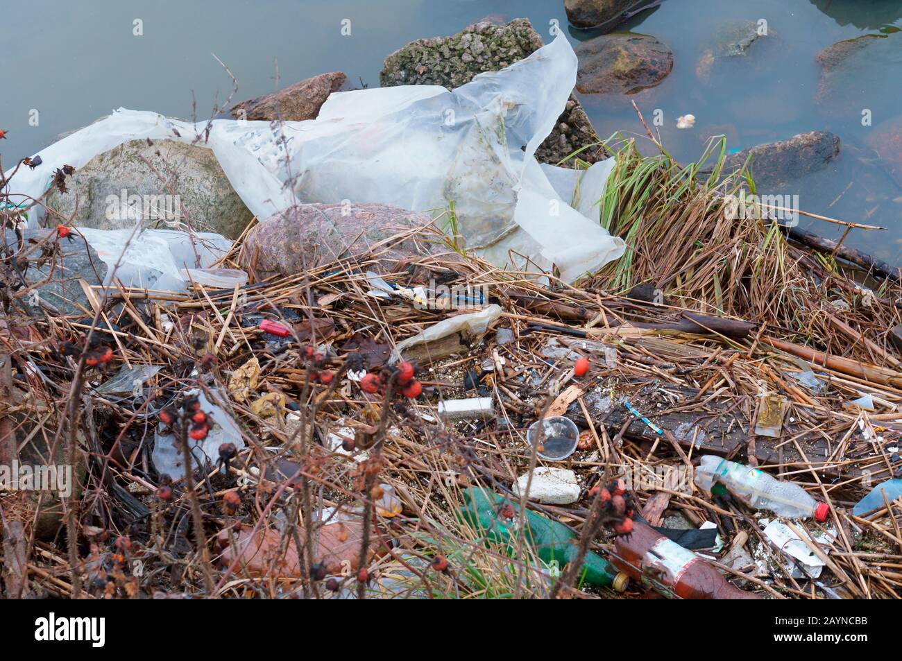 Human Nature Vs Pollution Pollution