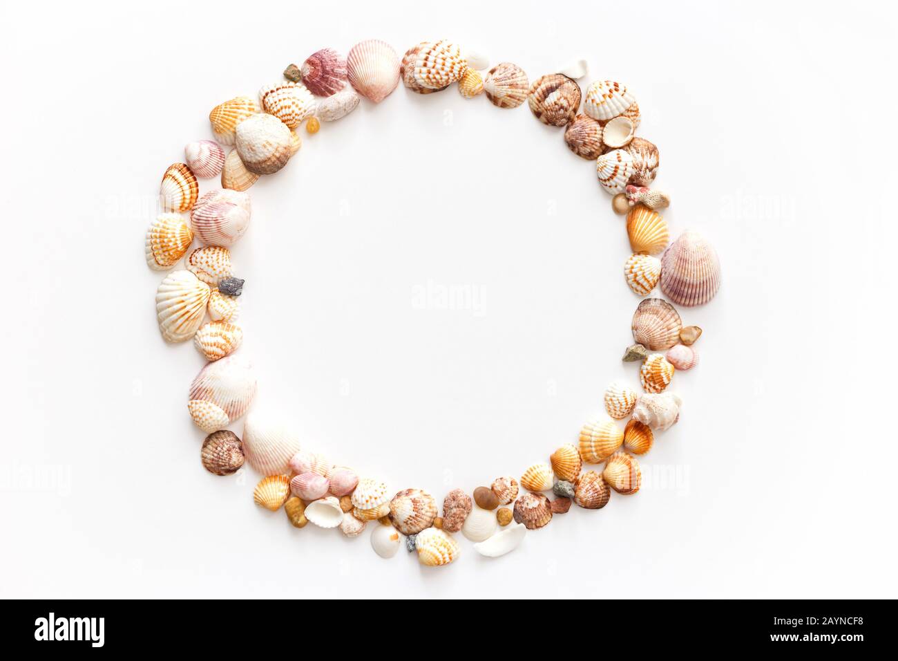 seashells and sea stones round frame isolatred on white background ...