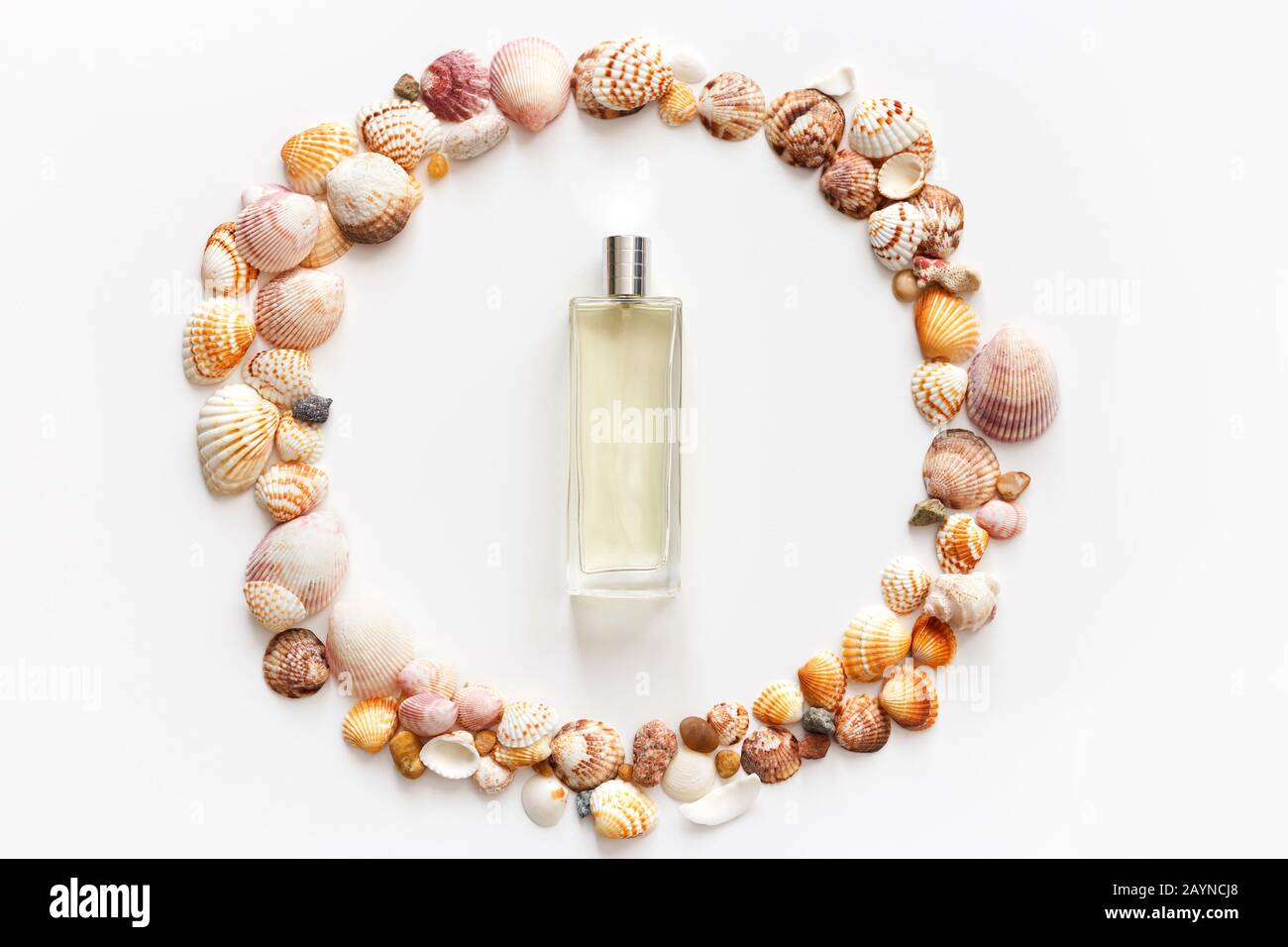 Perfume bottle in frame made of seashells isolated on white, top view ...