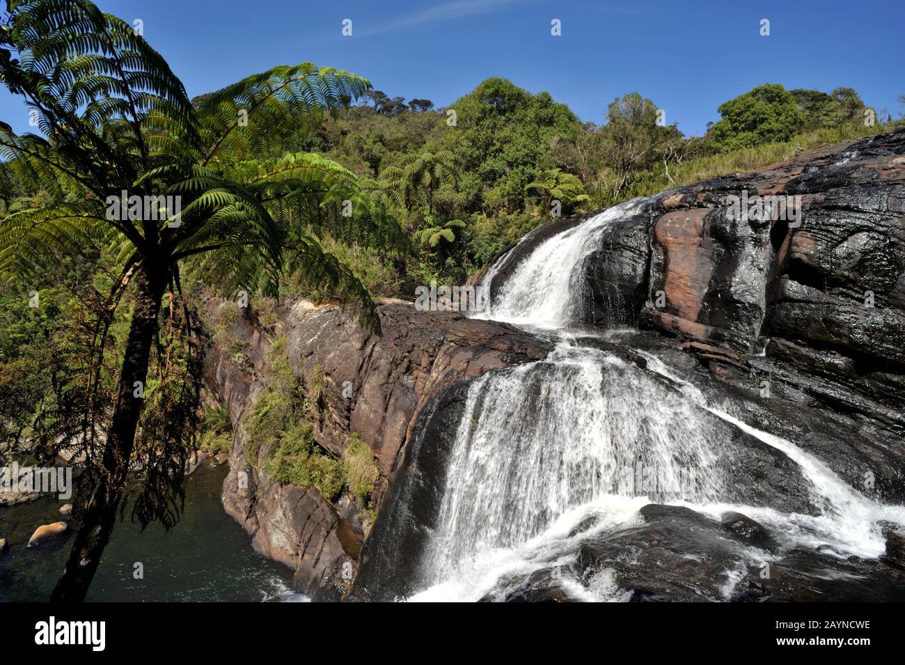 Sri Lanka, Horton Plains National Park, Baker’s falls Stock Photo - Alamy