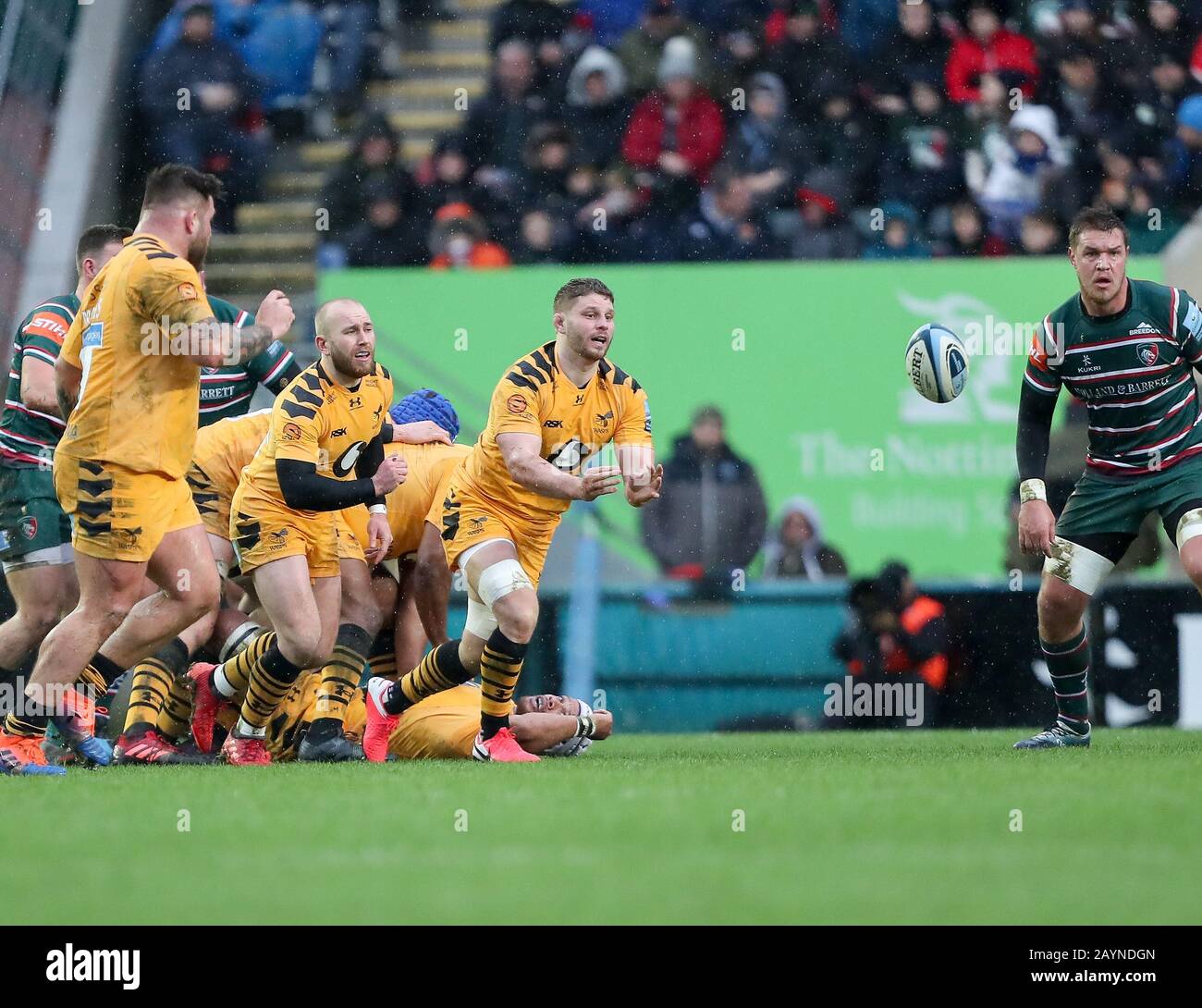 Thomas young wasps hi-res stock photography and images - Alamy