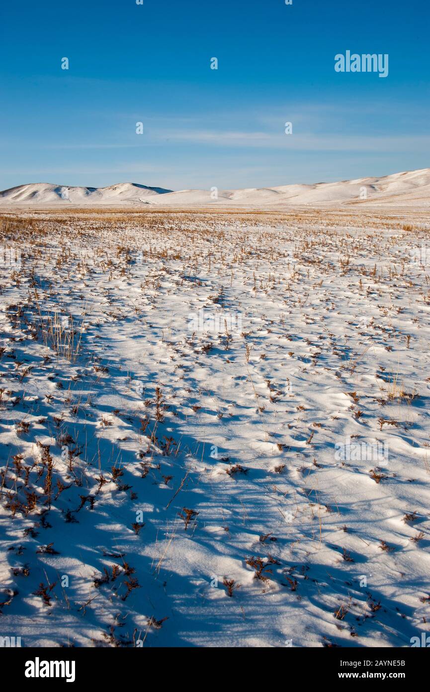 Mongolian Winter Landscape