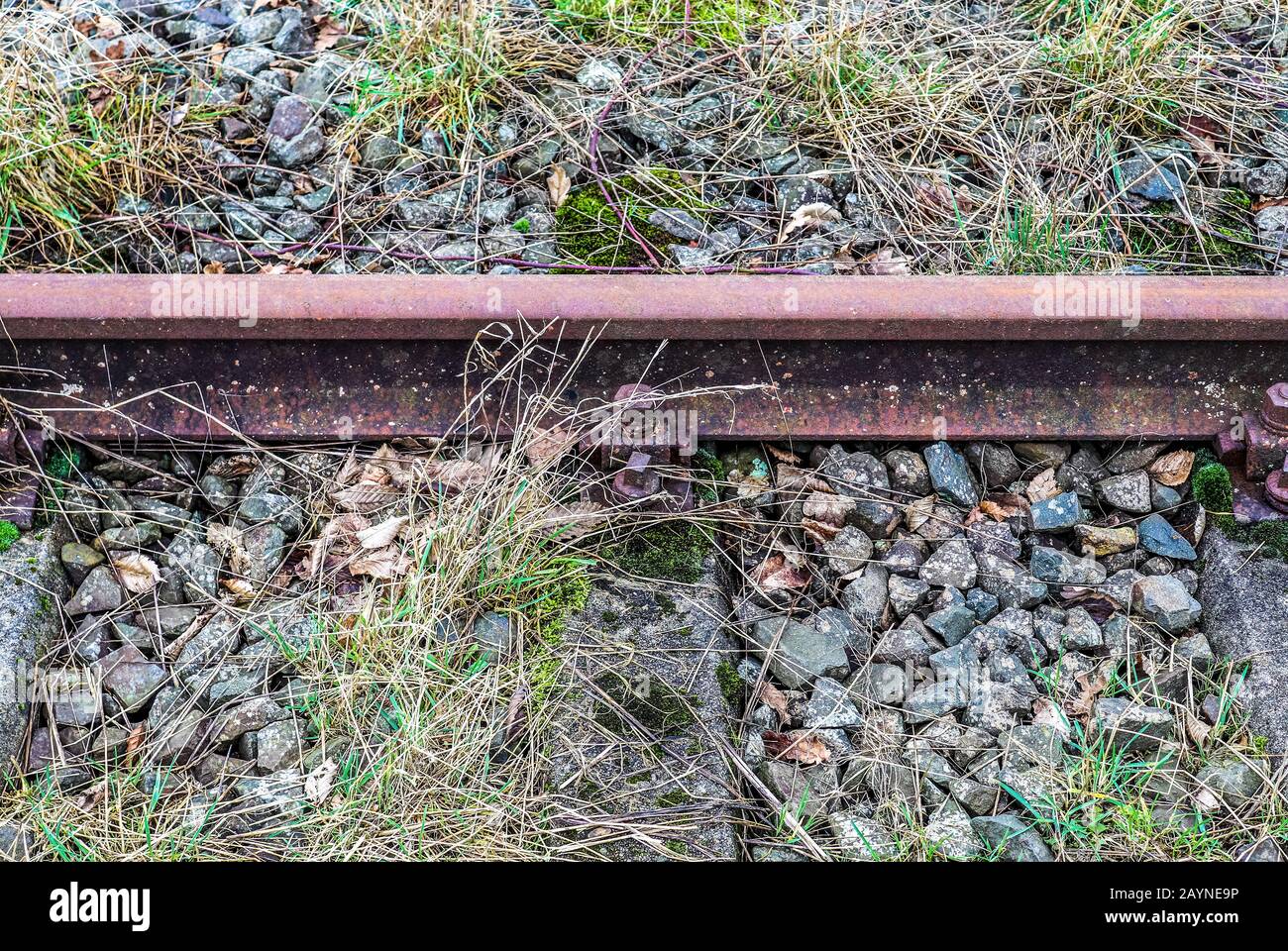 Old and abandoned railroad tracks in a northern european landscape ...