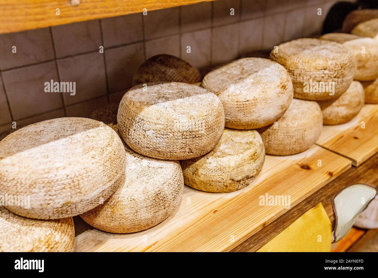 Set of aged traditional tuscan pecorino cheeses. Italian cuisine ...