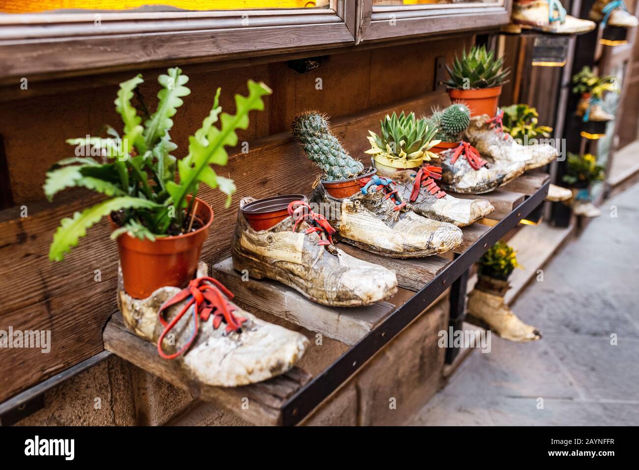 Decorative shoe flower pots hi-res stock photography and images - Alamy