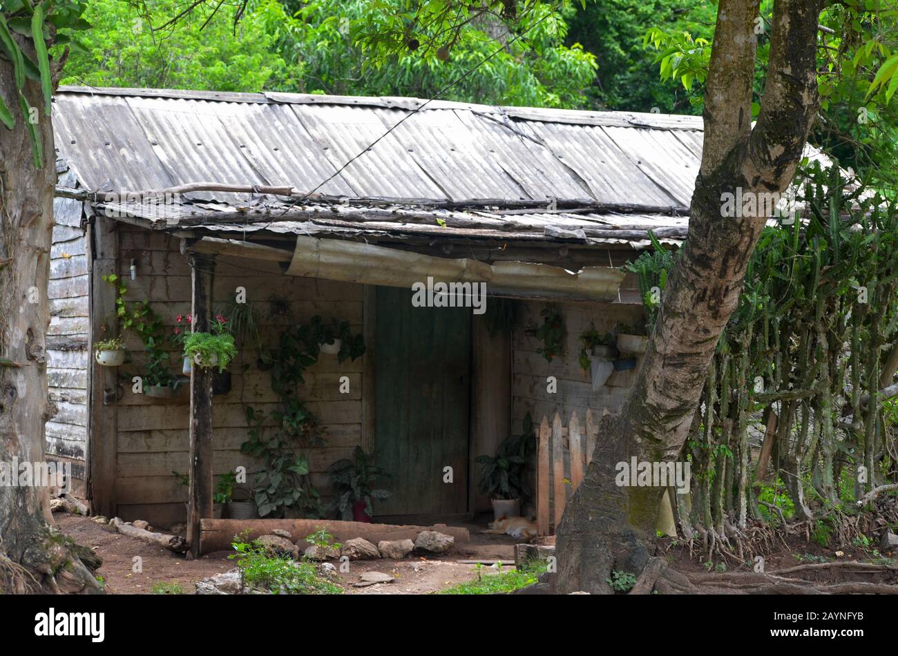 Traditional rural dwellings near the village of Guisa, at the foothills ...