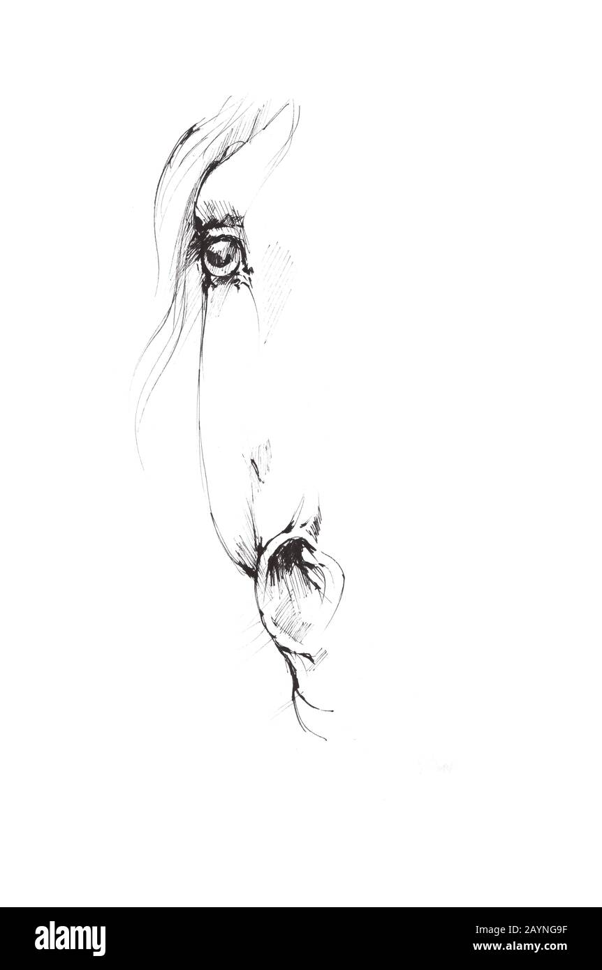 Arabian horse mare foal Cut Out Stock Images & Pictures - Alamy