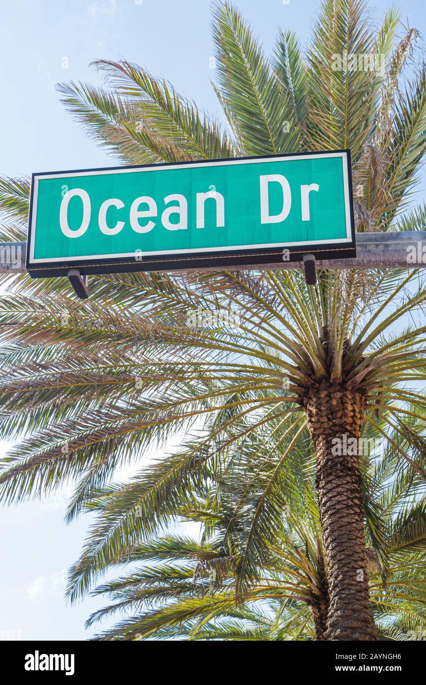 Palm tree on beach miami hi-res stock photography and images - Alamy