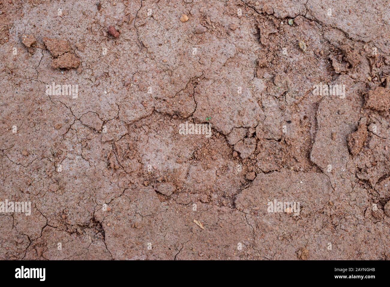 Earth Cracked Ground Soil Brown Color Background Stock Photograph Image ...