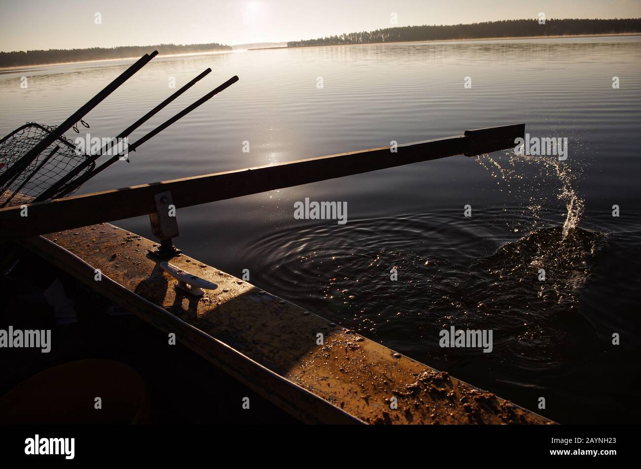 Fishing trip with row boat. Rod and fish net. Lake with sunshine day ...