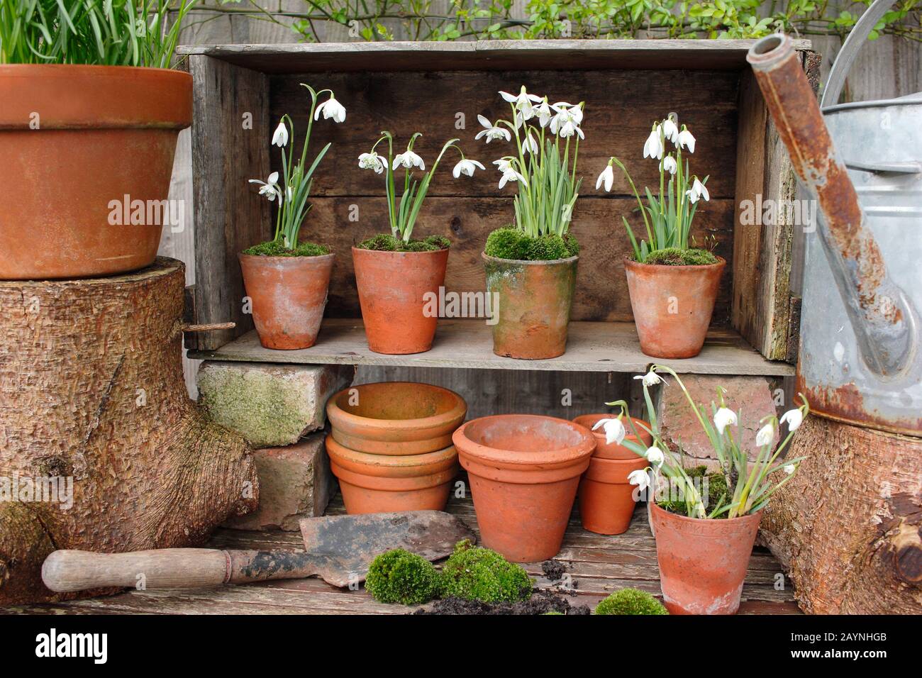 Snowdrop theatre garden hi-res stock photography and images - Alamy