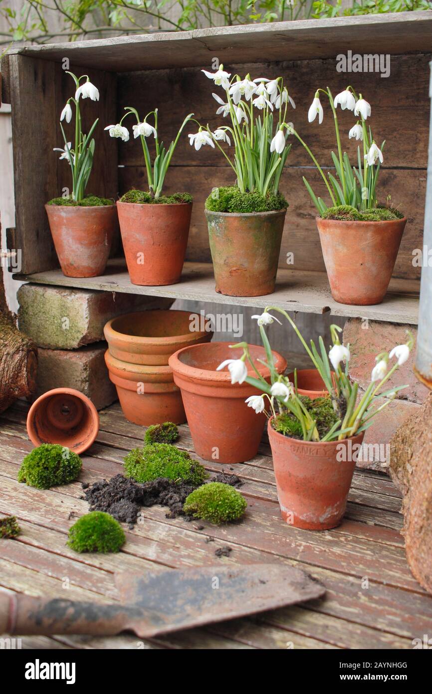 Snowdrop theatre hi-res stock photography and images - Alamy