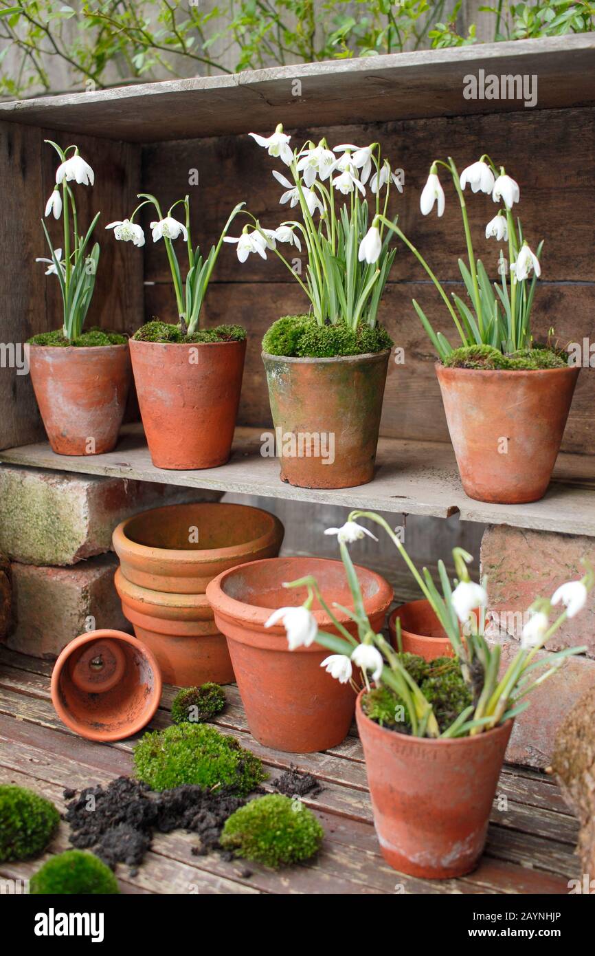 Wooden topped containers hi-res stock photography and images - Alamy