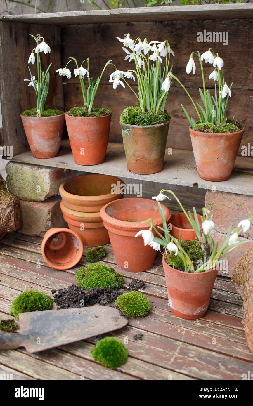 Wooden topped containers hi-res stock photography and images - Alamy