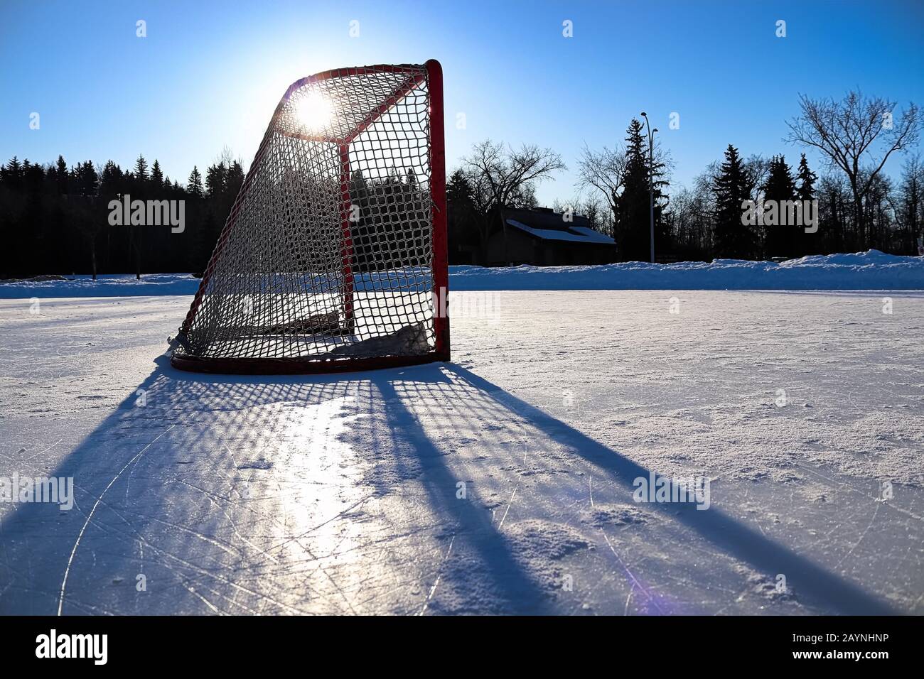 Empty ice rink hi-res stock photography and images - Alamy
