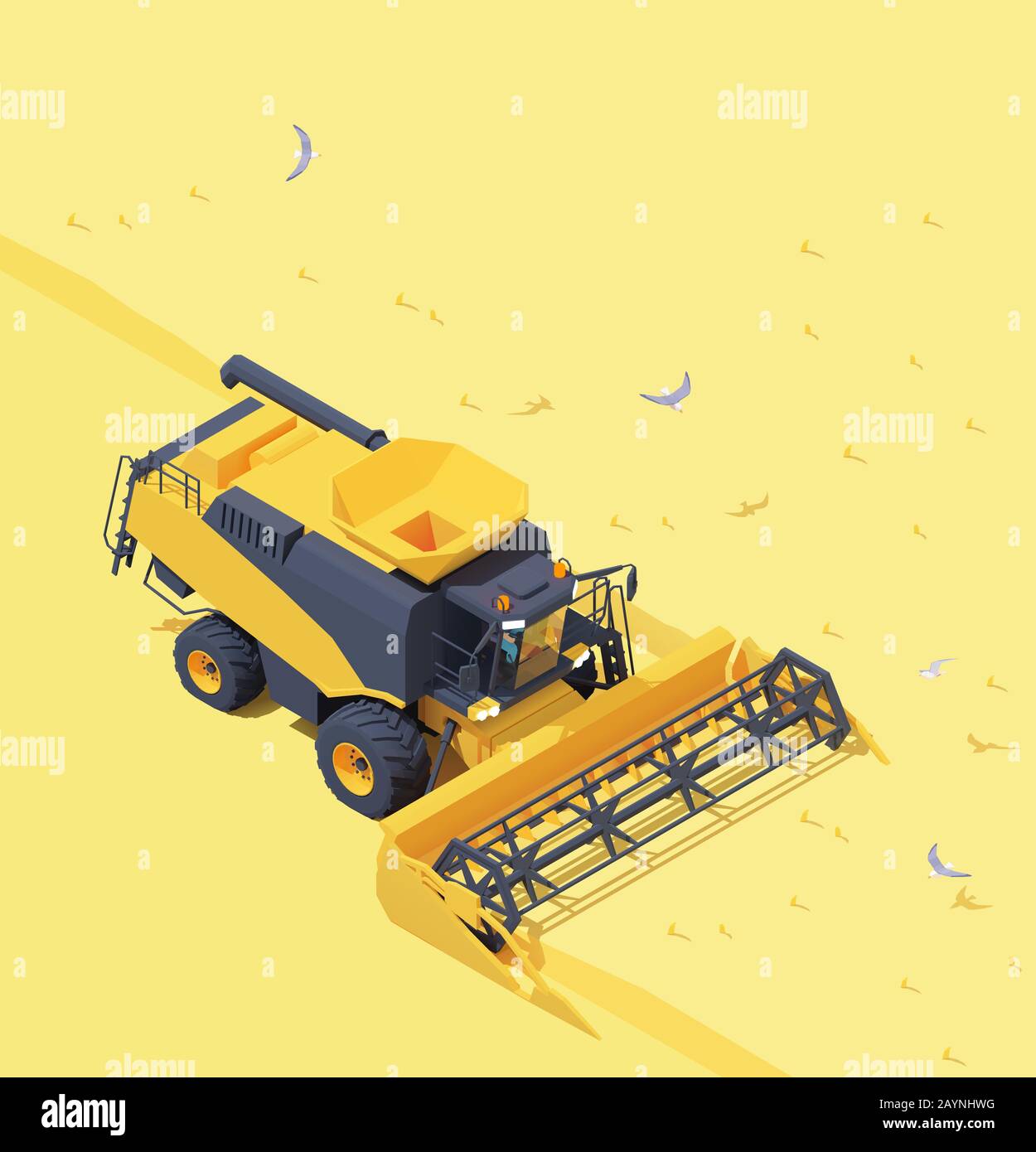 Field oats crop Stock Vector Images - Alamy