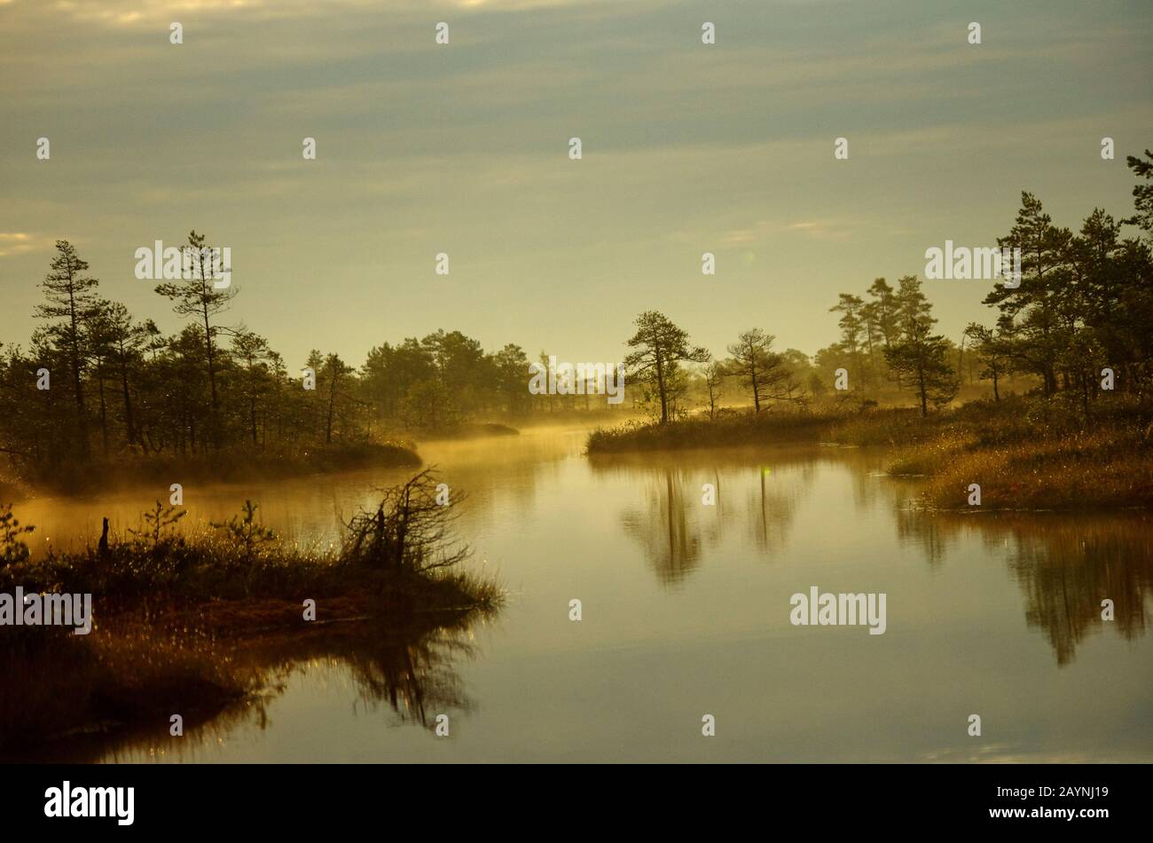 Mire with fog, small lake with reflection, sunshine day Stock Photo - Alamy