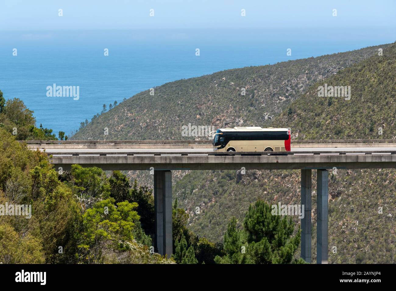 Bloukrans Bridge, Eastern Cape, South Africa. Dec 2019. Bloukraans ...