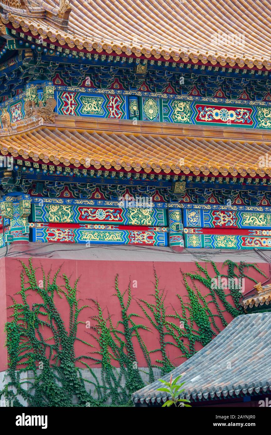 Detail of the colorful Chinese architecture in the Forbidden City in ...