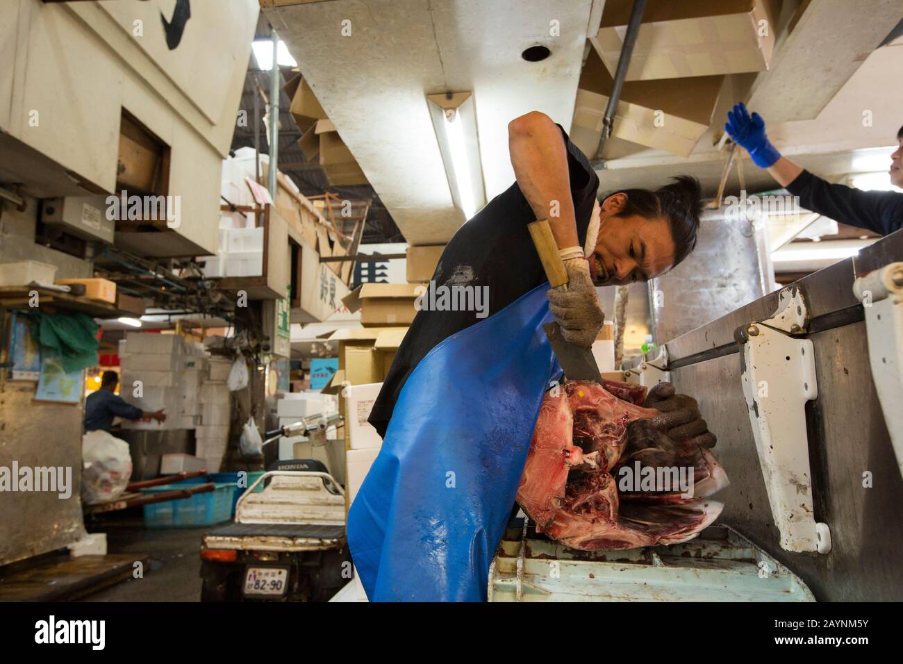 Fishmonger cutting a tuna head in Tsukiji Fish Market. Tokyo, Japan ...