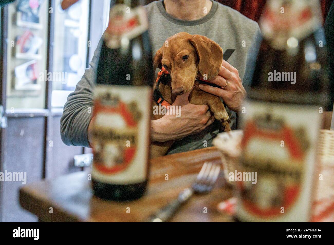 Posh visitor hi-res stock photography and images - Alamy