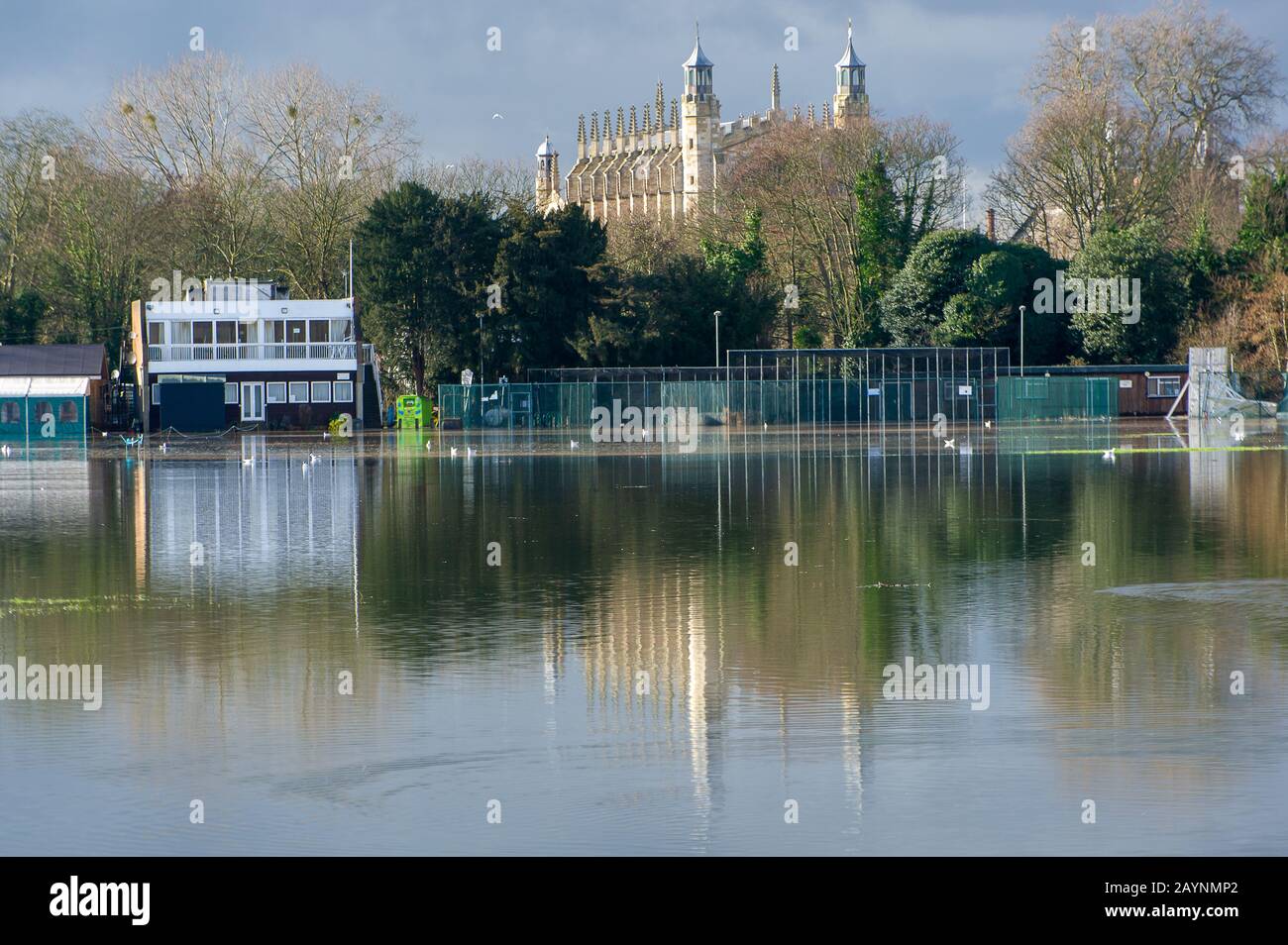 Floods, Home Park, Windsor, Berkshire, UK. 10th February, 2014. The ...