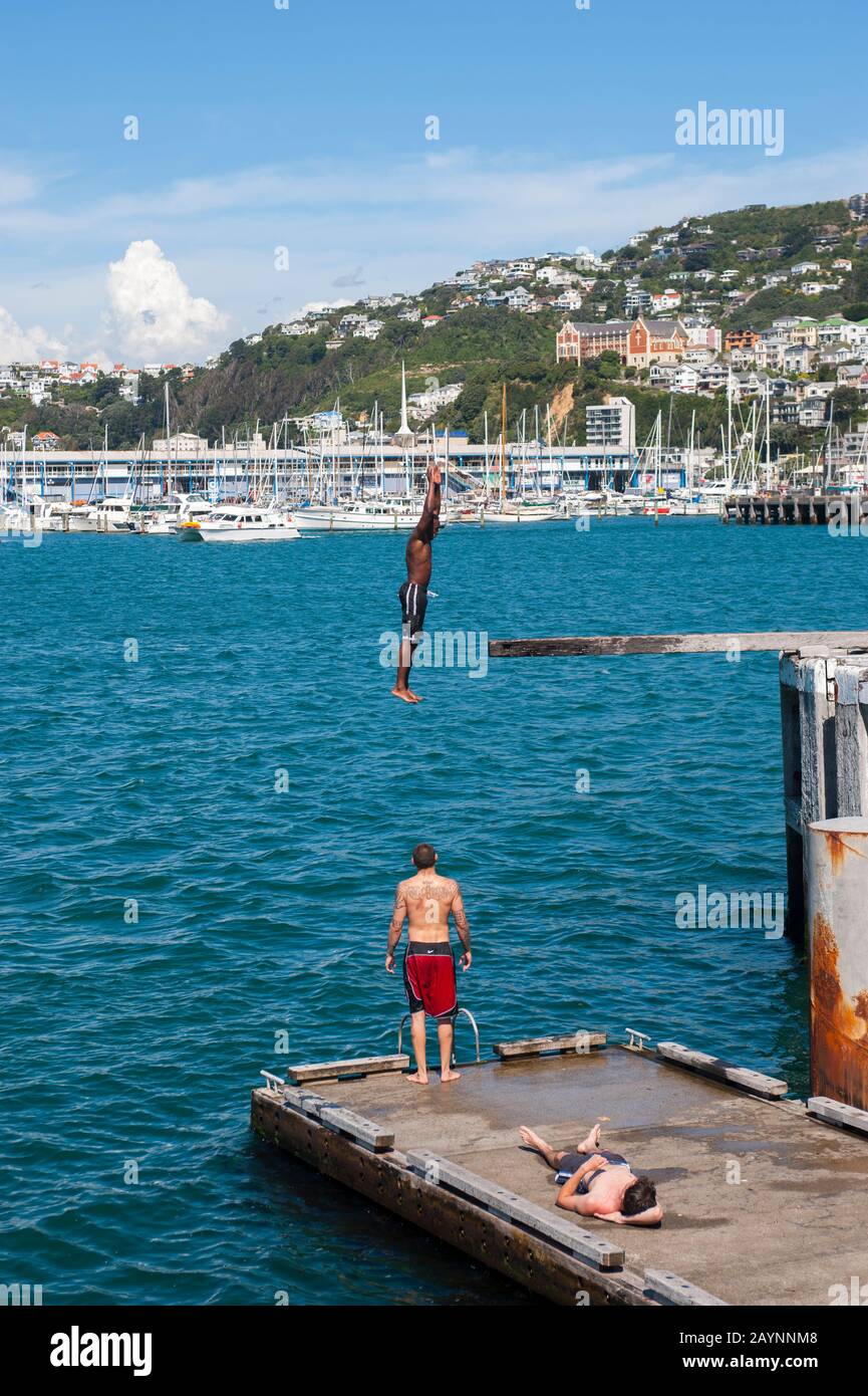 People jumping into the water along the waterfront in the bay of the ...