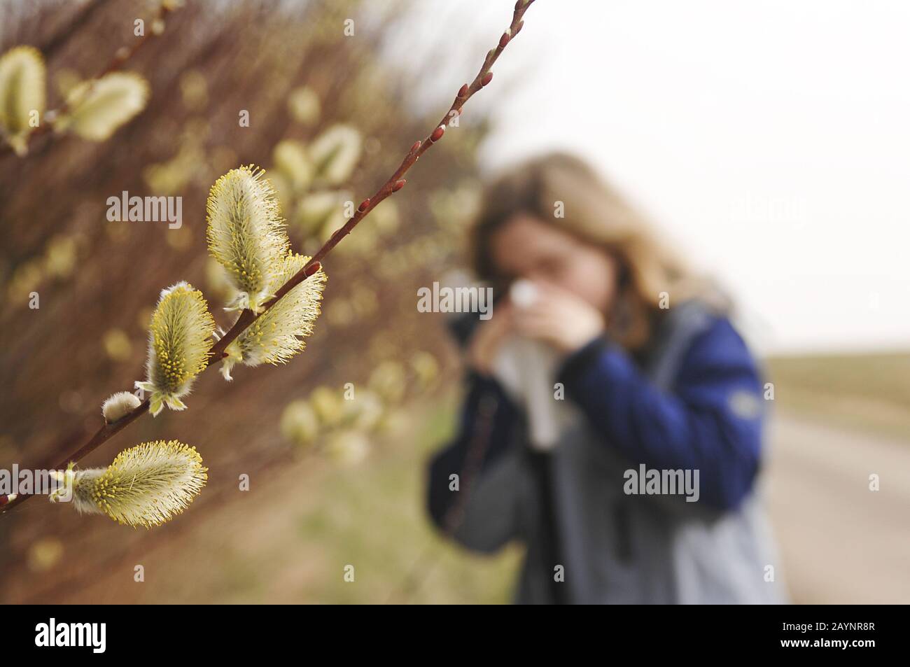 Heuschnupfen allergie hi-res stock photography and images - Alamy