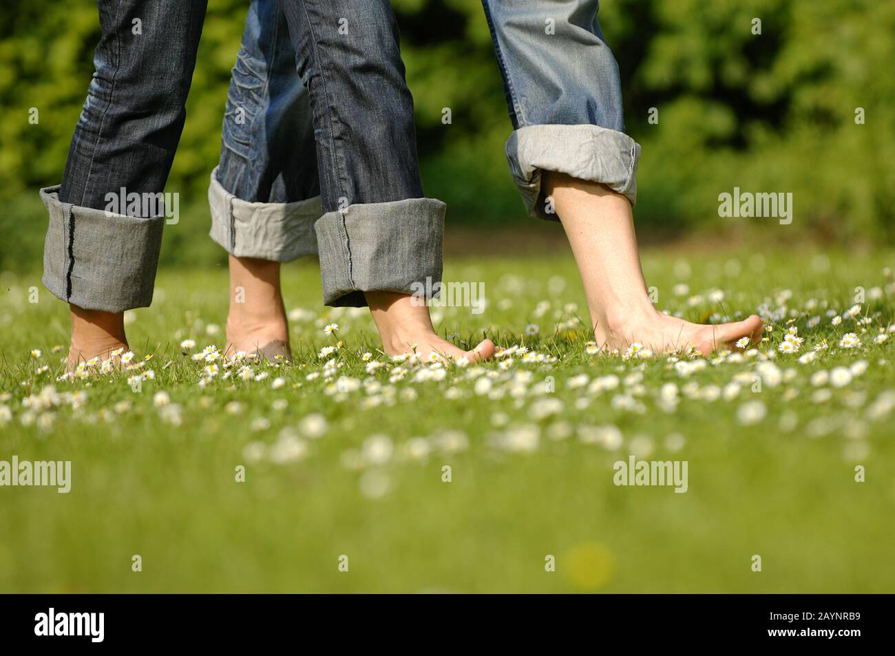 Beine hi-res stock photography and images - Alamy