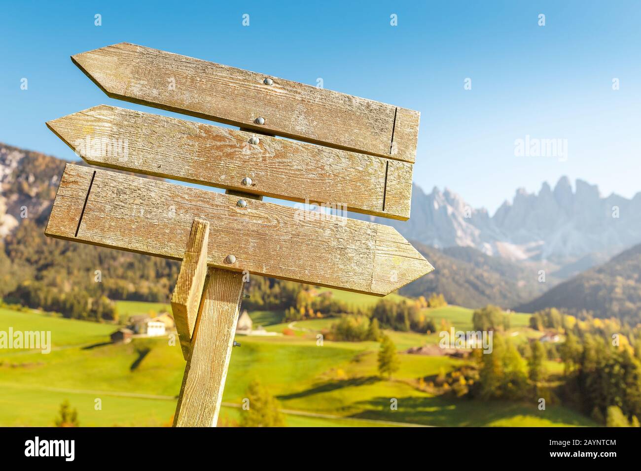 Blank Sign post showing directions to different hiking trails and ...
