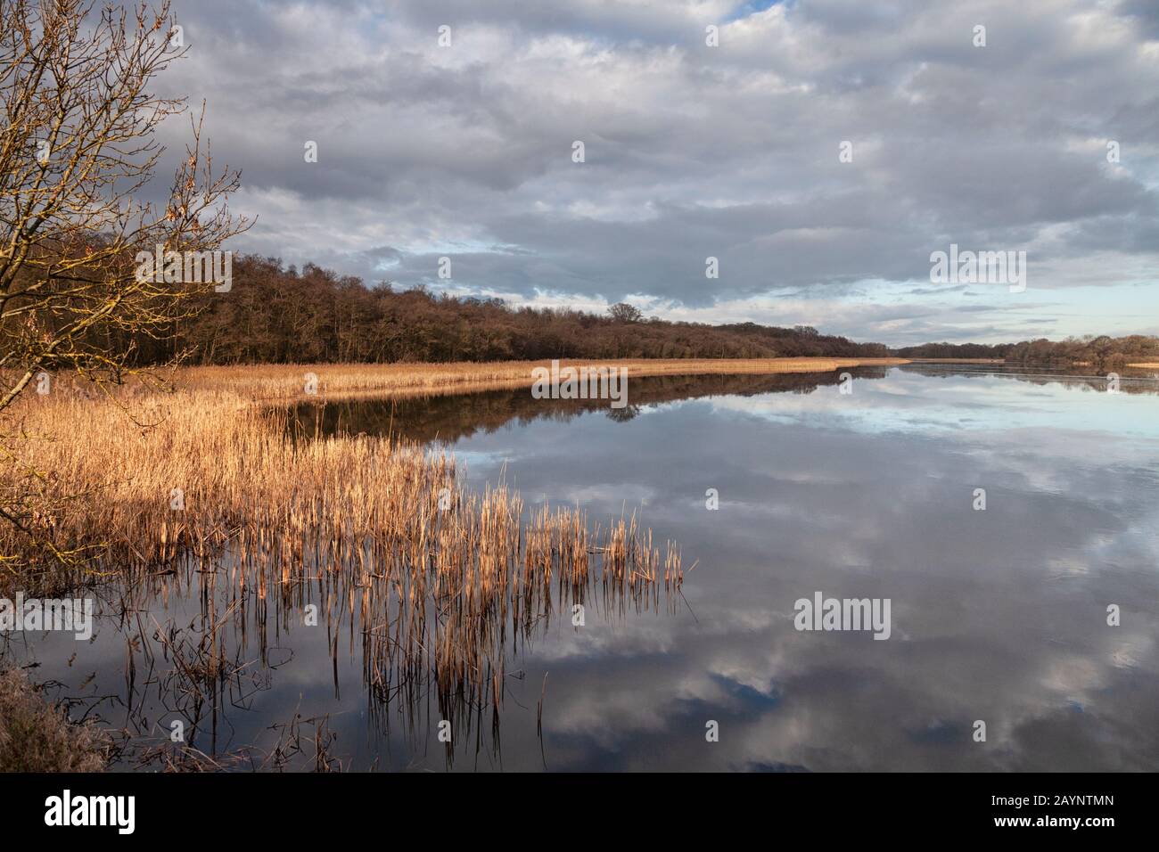 Trinity broad norfolk hi-res stock photography and images - Alamy
