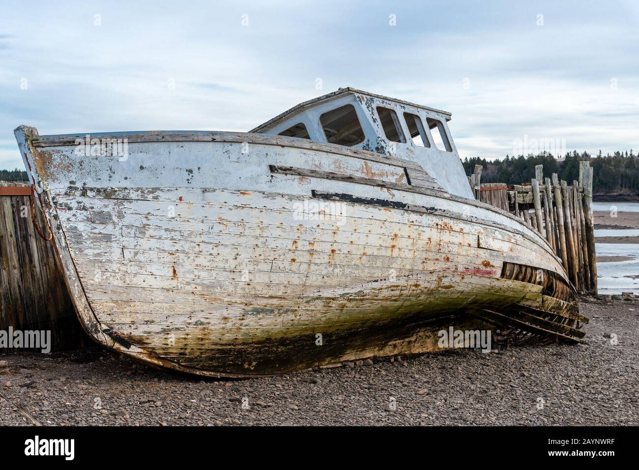 Poor shape hi-res stock photography and images - Alamy