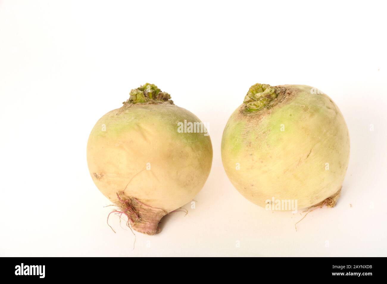 Radish red meat on white background Stock Photo - Alamy