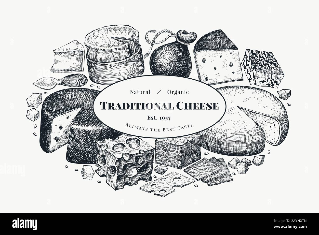 Cheese design template. Hand drawn vector dairy illustration. Engraved ...
