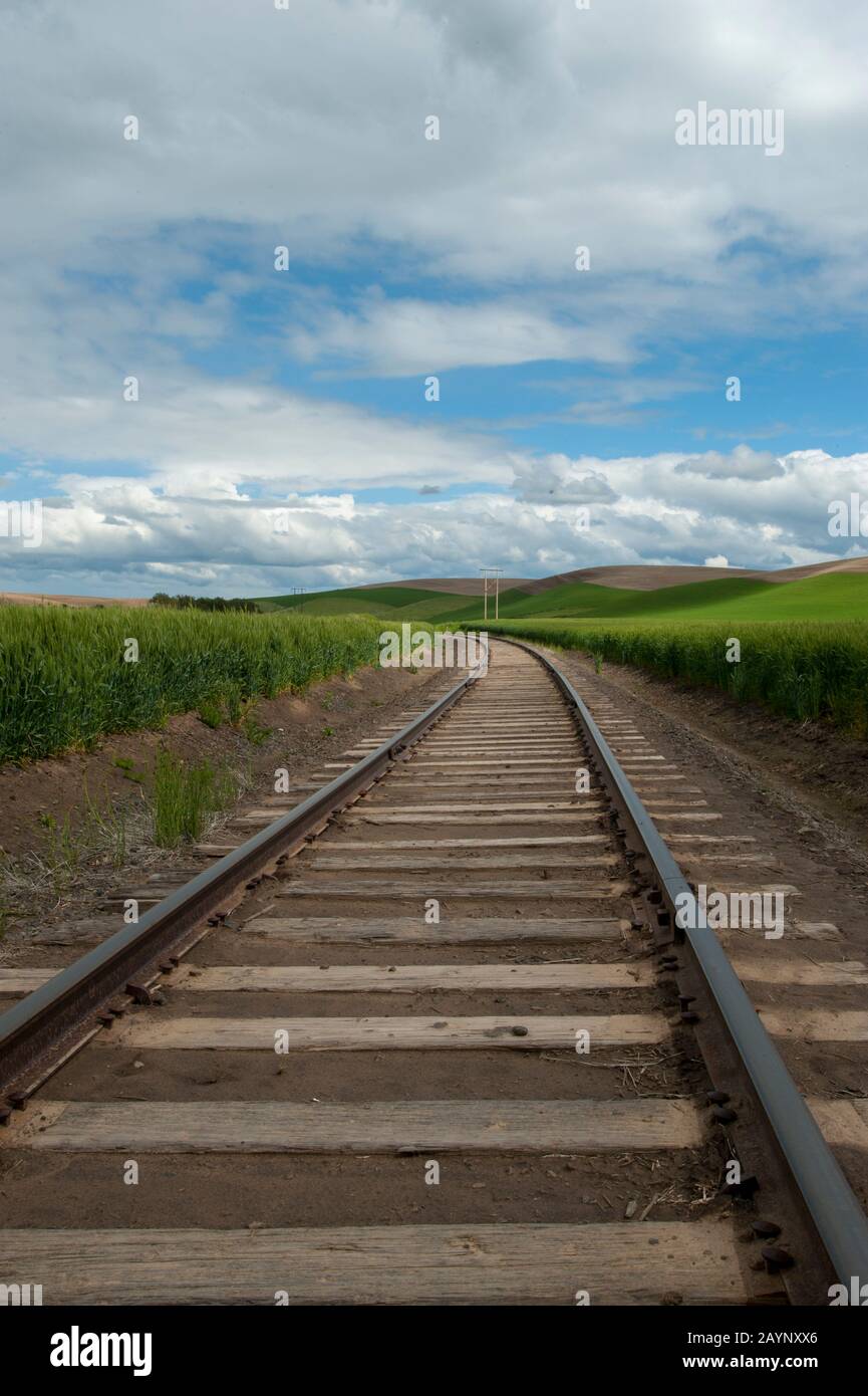 Train tracks through wheat fields in the Palouse, Eastern Washington ...