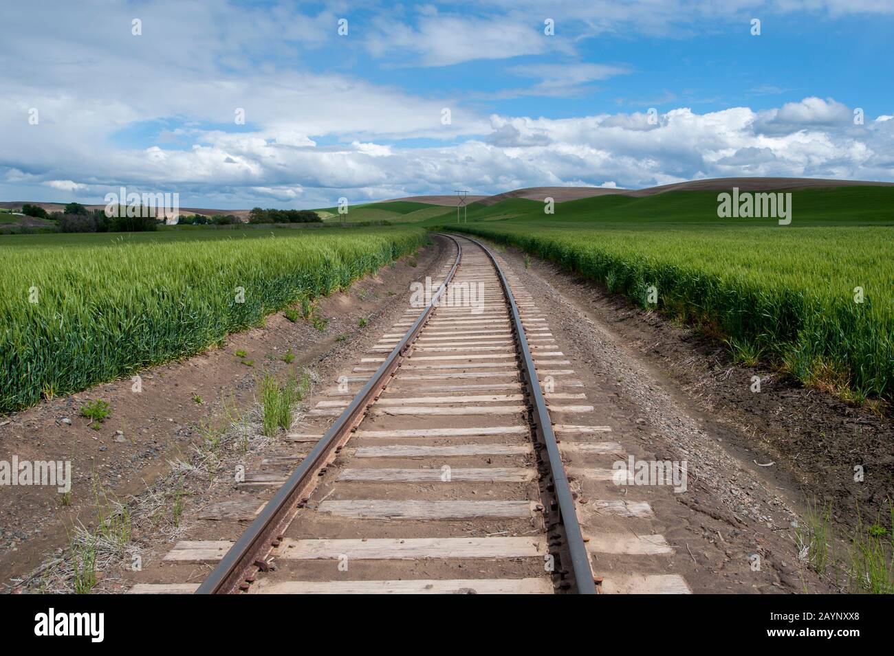 Train tracks through wheat fields in the Palouse, Eastern Washington ...