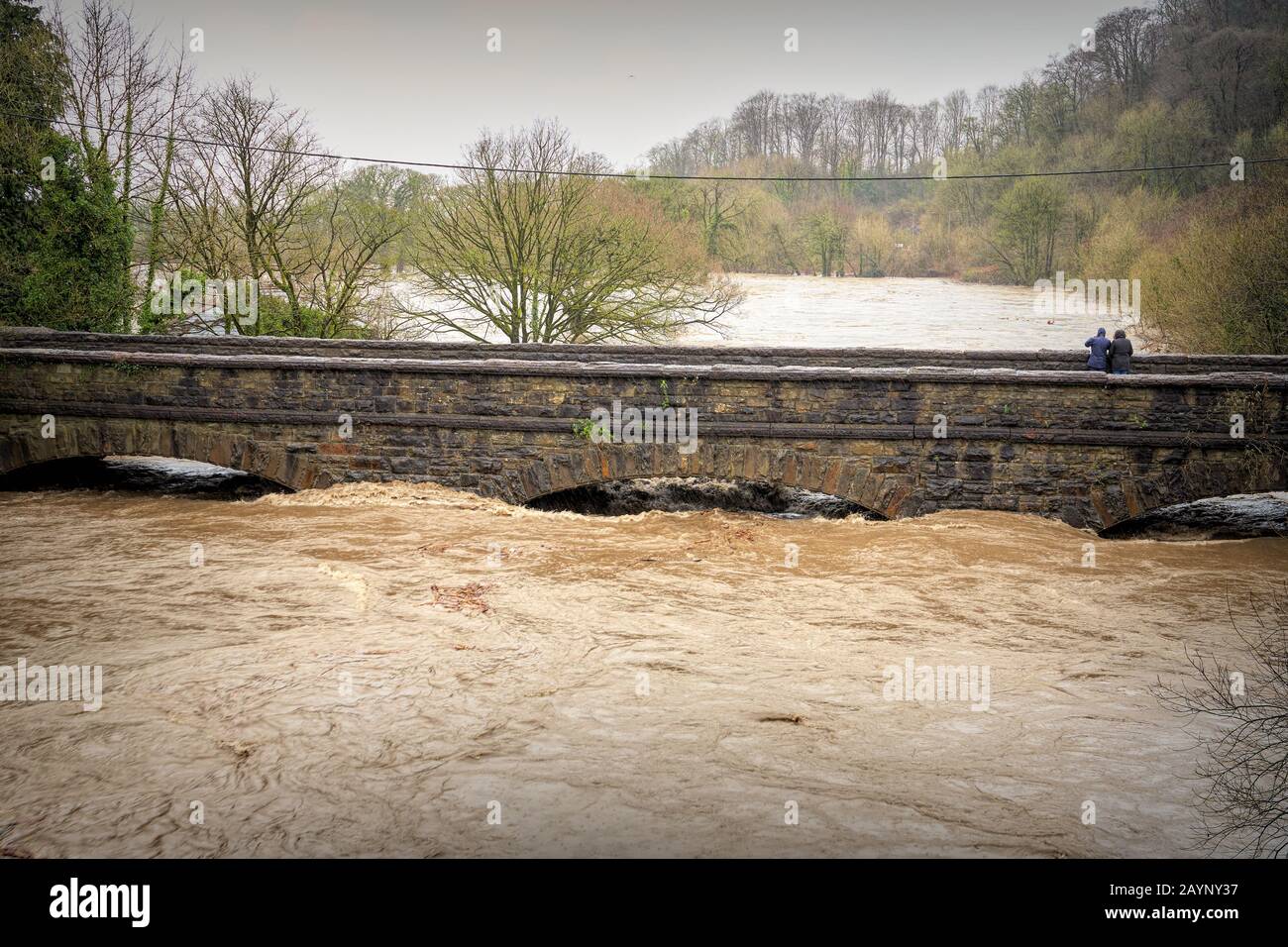 The River Taff reaches the top of the arches under the Ynys Bridge in ...