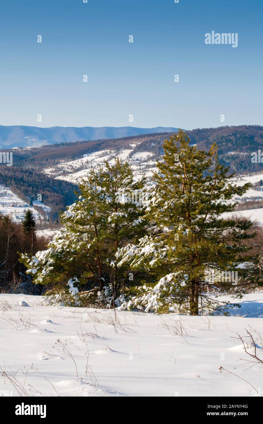 Clear as day hi-res stock photography and images - Alamy