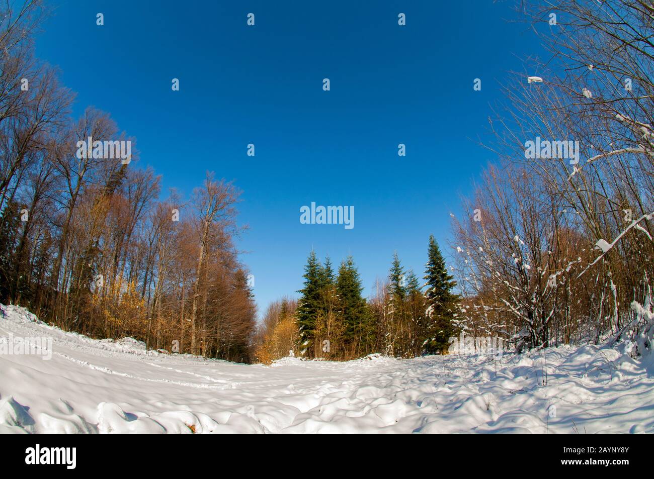 Beautiful clear day on panorama hi-res stock photography and images - Alamy