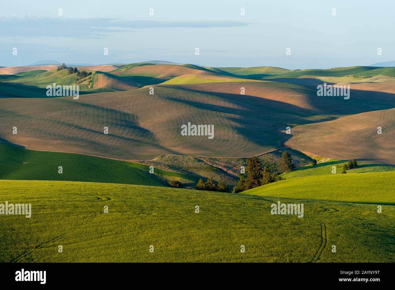Landscape in palouse agricultural area hi-res stock photography and ...